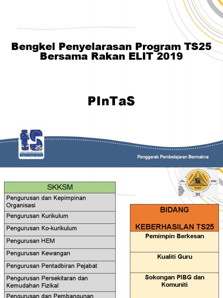 Pintas Ts25 | PDF