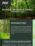 Tropical Deciduous Forests in India | PDF | Forests | Tropics