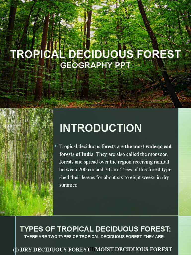 Tropical Deciduous Forest: Geography | PDF | Forests | Trees