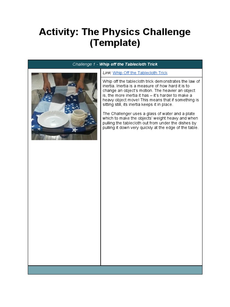 Activity - The Physics Challenge | PDF | Force | Newton's Laws Of Motion