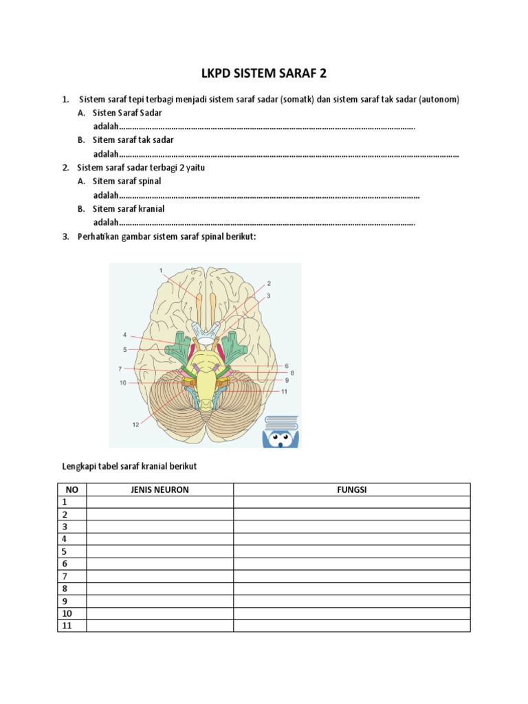 Buku Sistem Saraf Pdf - Perumperindo.co.id