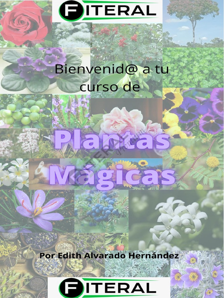 Plantas Magicas Curso 3.0 Con Marca de Agua | PDF