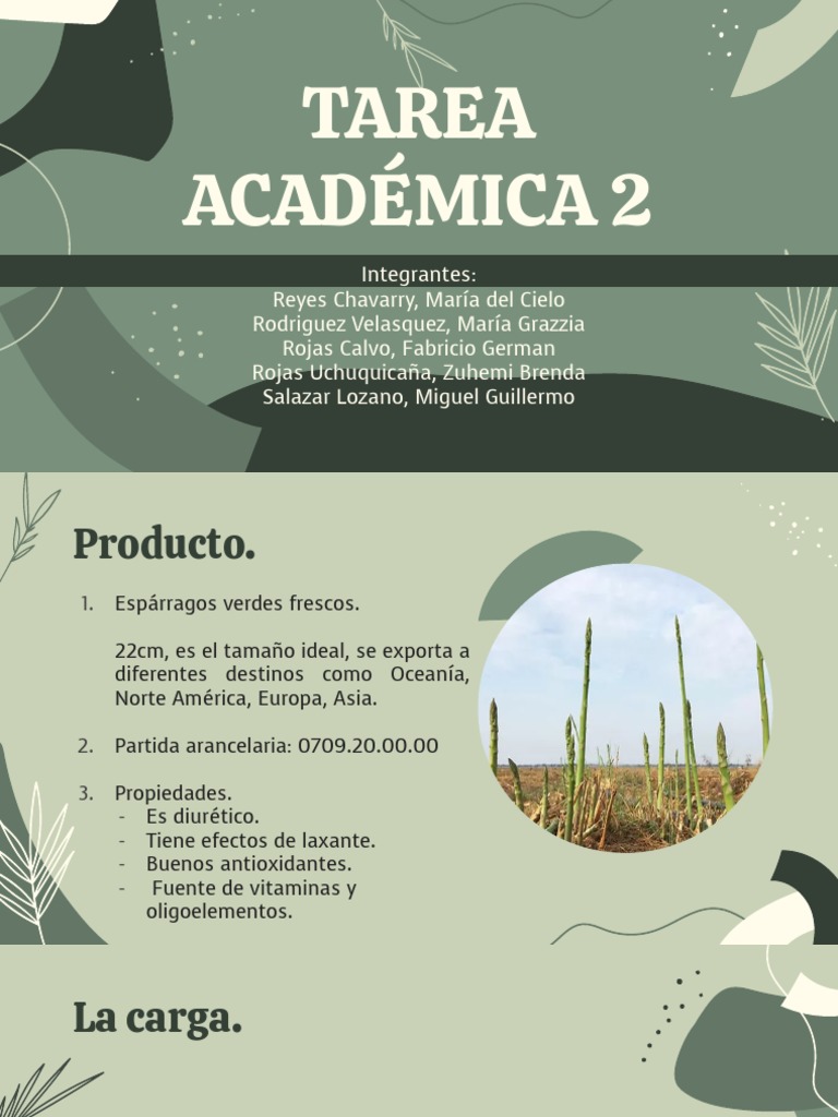 TA2 - LOGISTICA (Avance) | PDF | Transporte de mercancías | Comercio