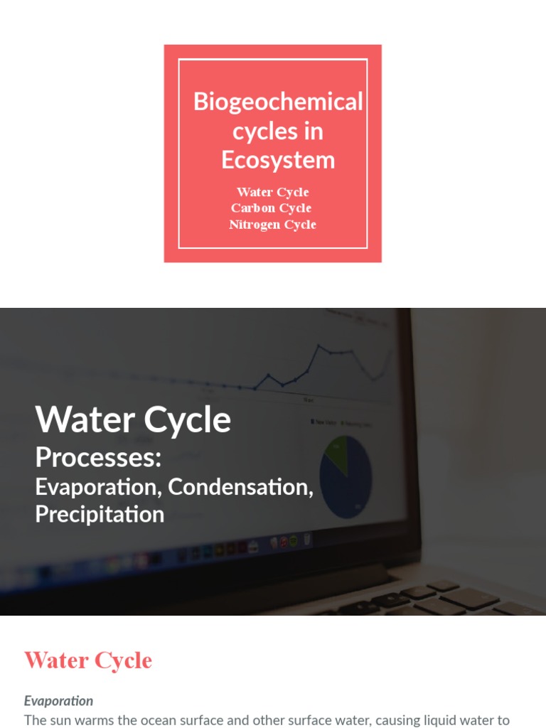 Water, Carbon, Nitrogen Cycle | PDF