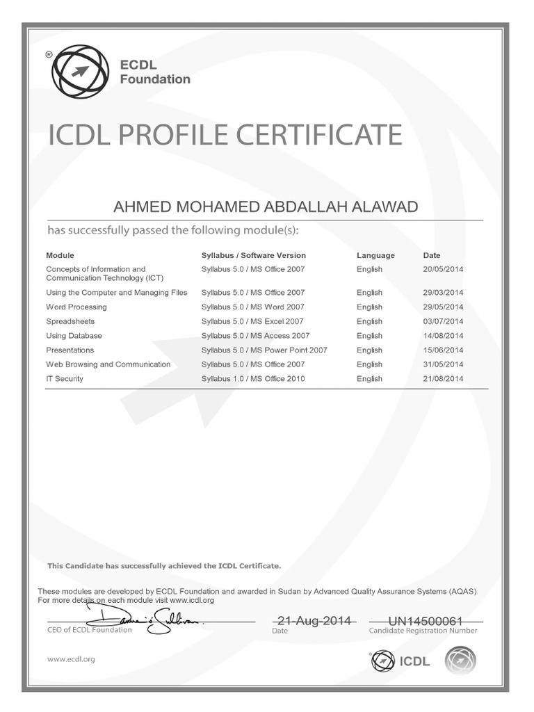 ICDL Certificate | PDF