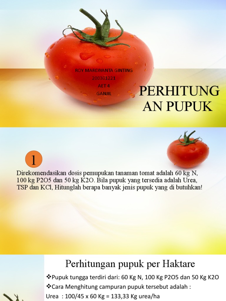 Roy Mardiyanta Ginting - AET 4 | PDF