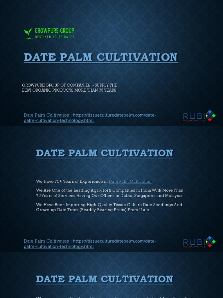 Date Palm Cultivation Grow Pure Group | PDF