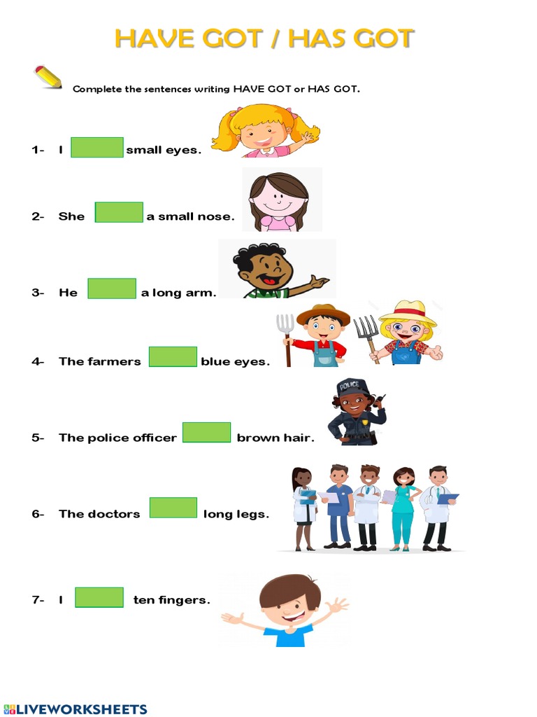 Have Got vs. Has Got Worksheet | PDF | Language Arts & Discipline