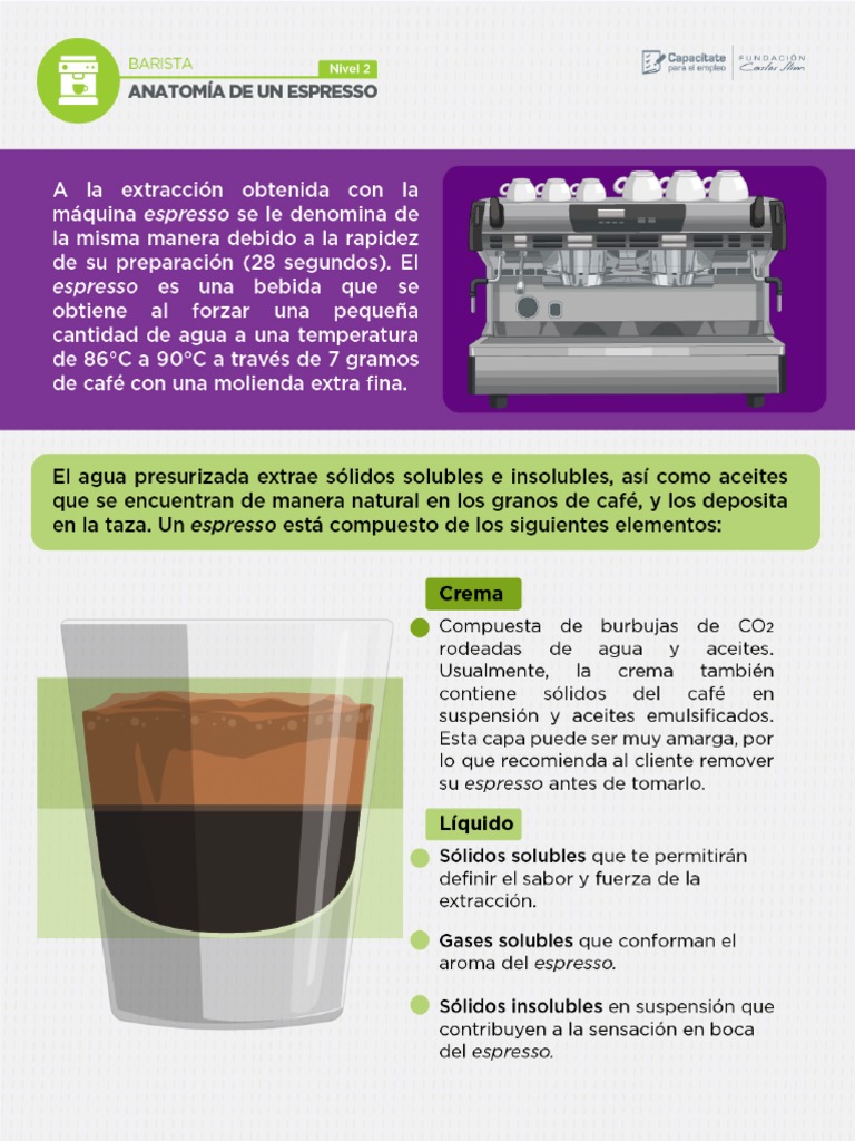 Anatomia de Un Expresso | PDF