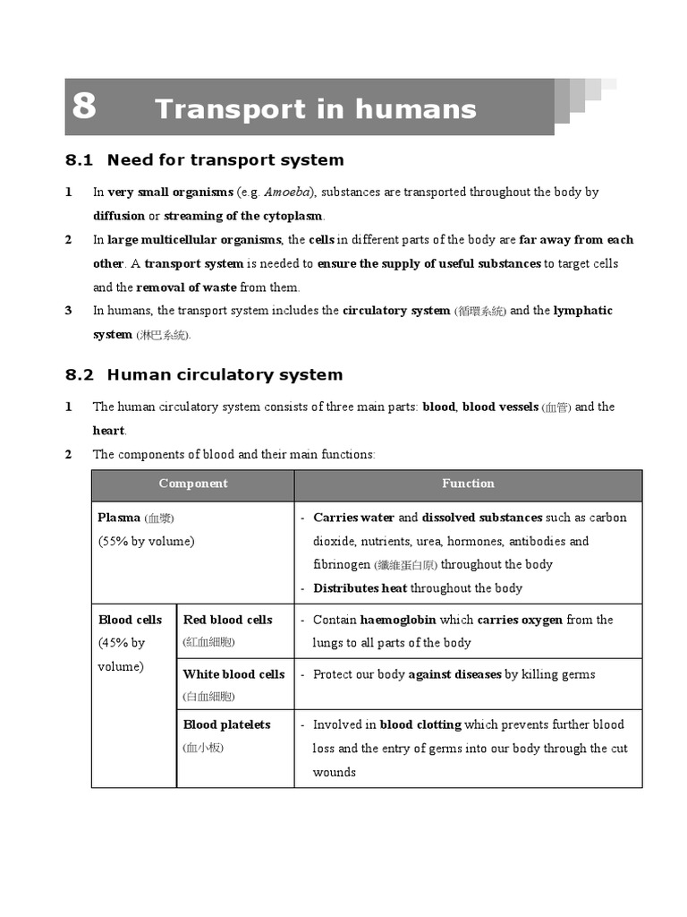 Transport in Humans: 8.1 Need For Transport System | PDF | Artery | Heart