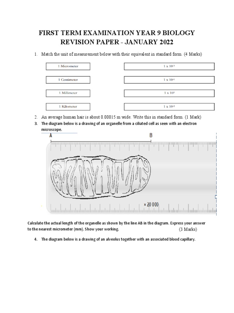 First Term Examination Year 9 Biology Revision Paper - January 2022 ...