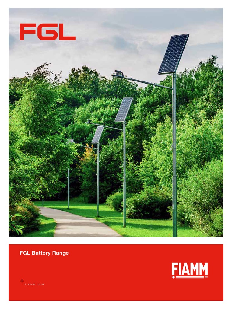 FGL Folder Emea Eng | PDF | Electricity | Electrical Engineering