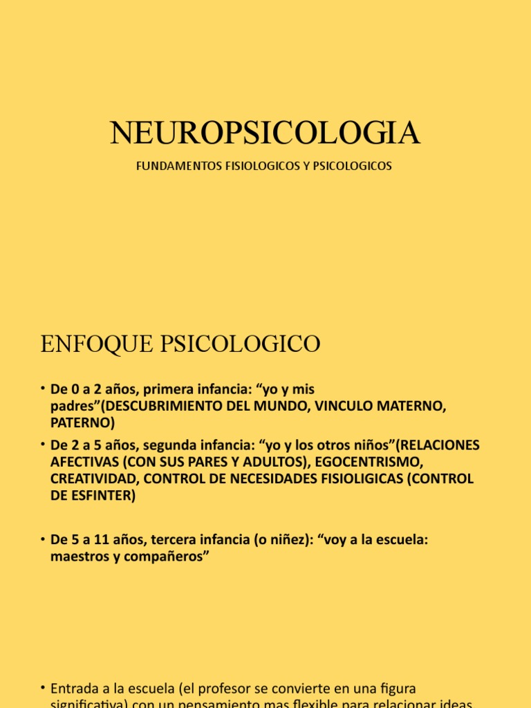 Neuropsicologia Enfoque Fisiologico y Psicologico | PDF | Percepción visual | Cerebro