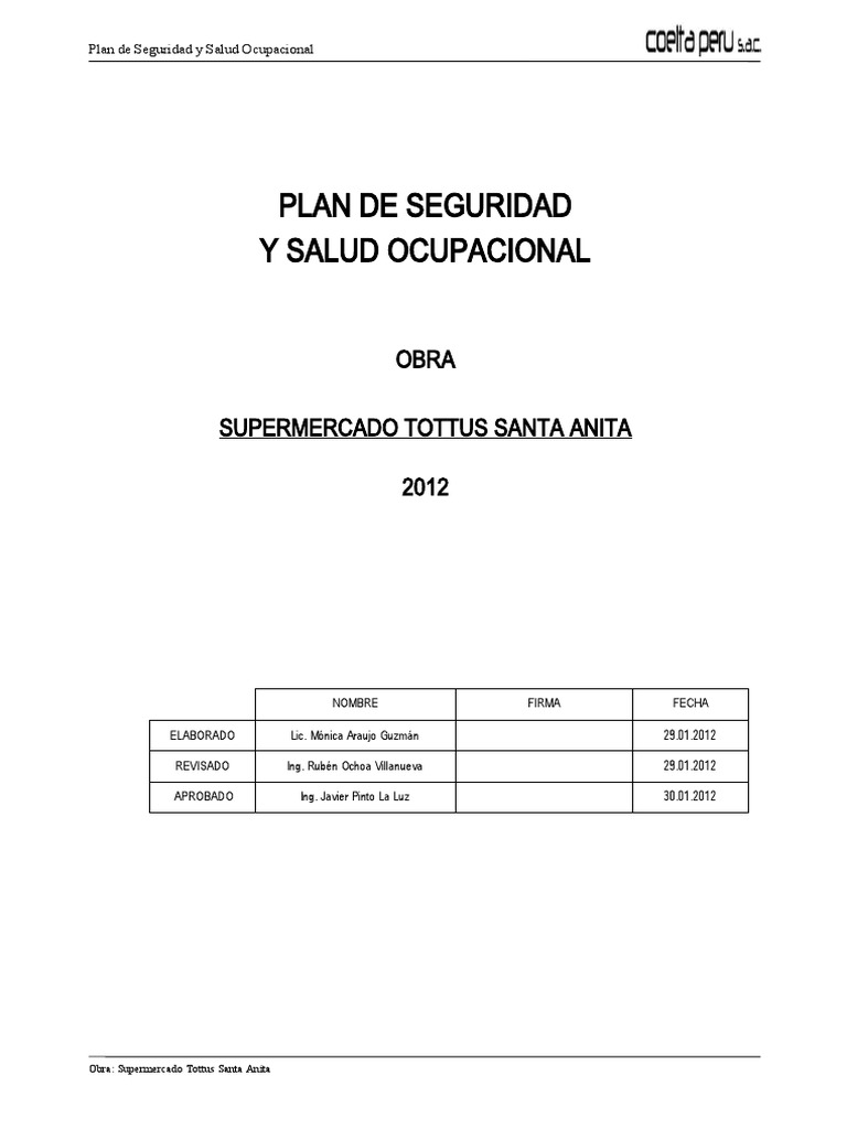 Plan de SSO | PDF | Seguridad y salud ocupacional | Valores