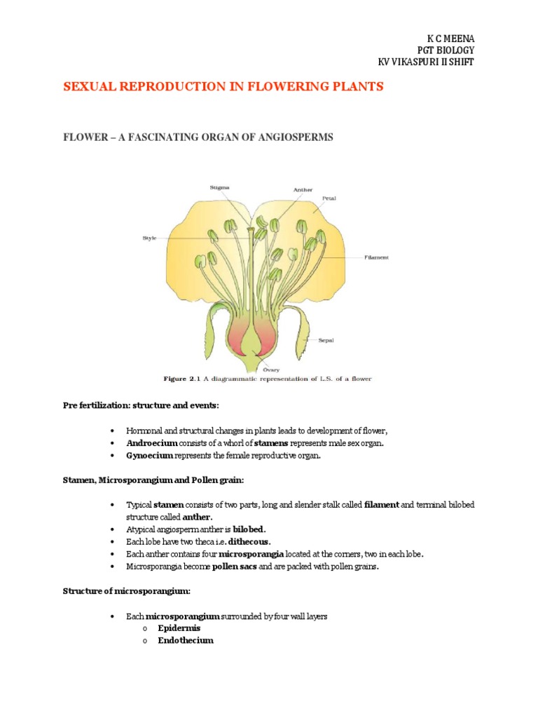 2 Sexual - Reproduction - in - Flowering - Plants | PDF | Pollen | Flowers