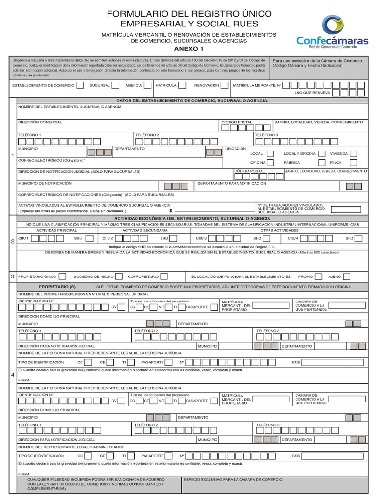 Formulario Rues | PDF