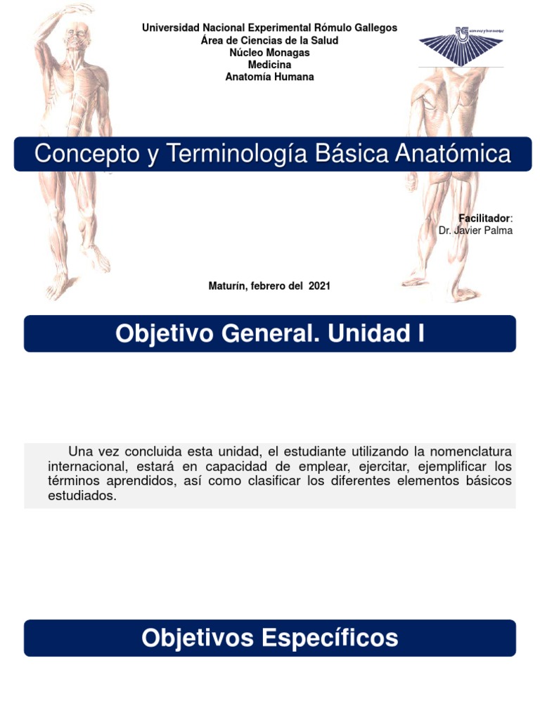 Tema 1. Concepto y Terminología Básica Anatómica | PDF | Anatomía ...