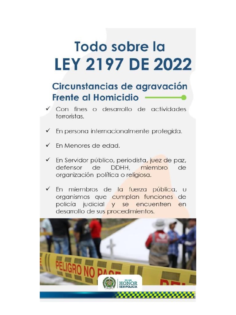 Todo Sobre La Ley 2197 | PDF