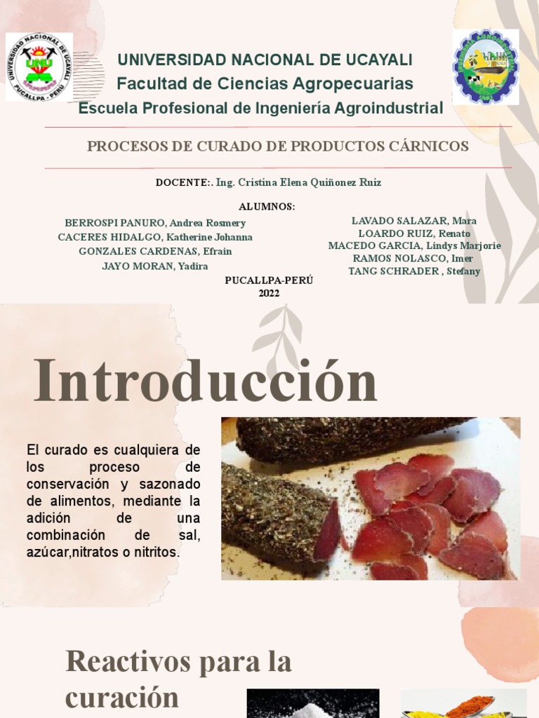 Procesos de Curado en Productos Cárnicos | PDF | Curado (Conservación ...