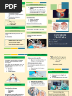 Tríptico Cáncer de Próstata | PDF | Cancer de prostata | Cáncer