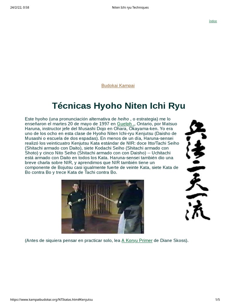 Niten Ichi Ryu Techniques | PDF | Deportes de combate | Espada