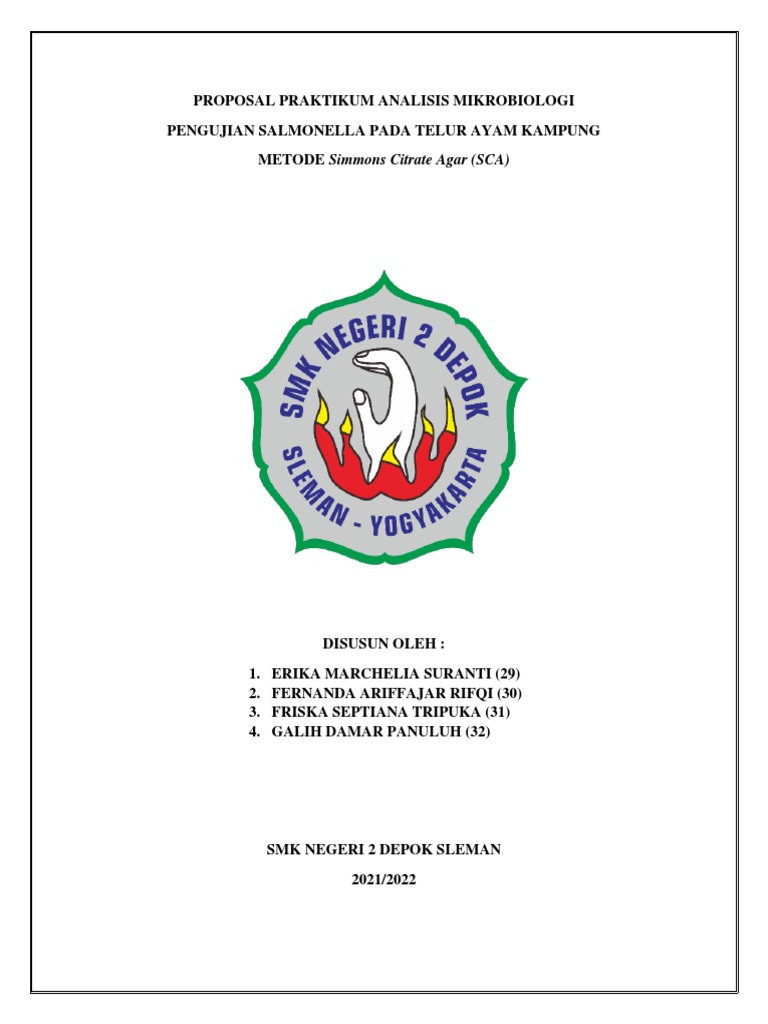 Pengujian Salmonella | PDF