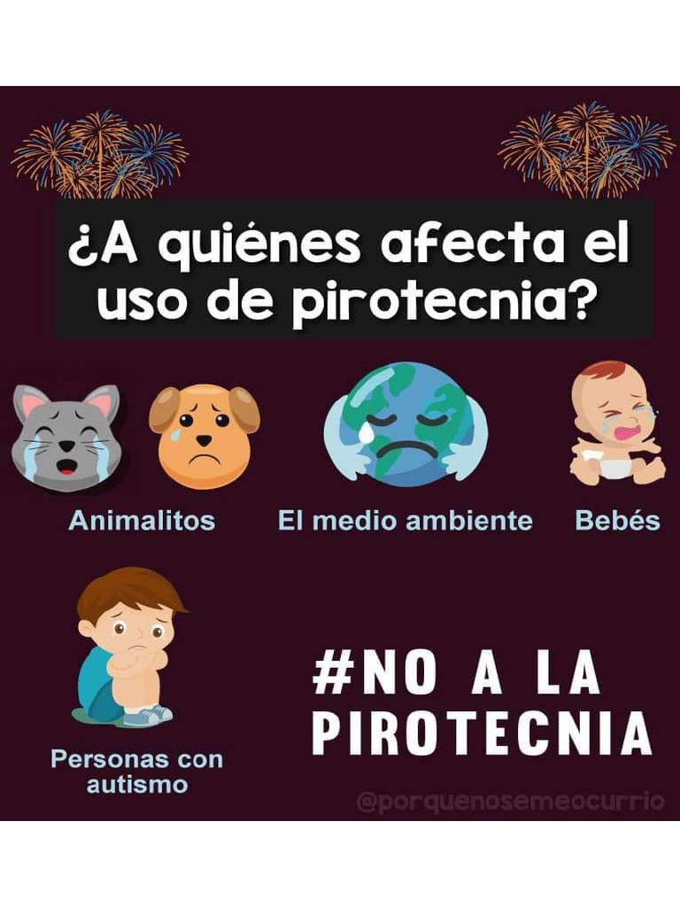 Cartel Sobre La Pirotecnia | PDF