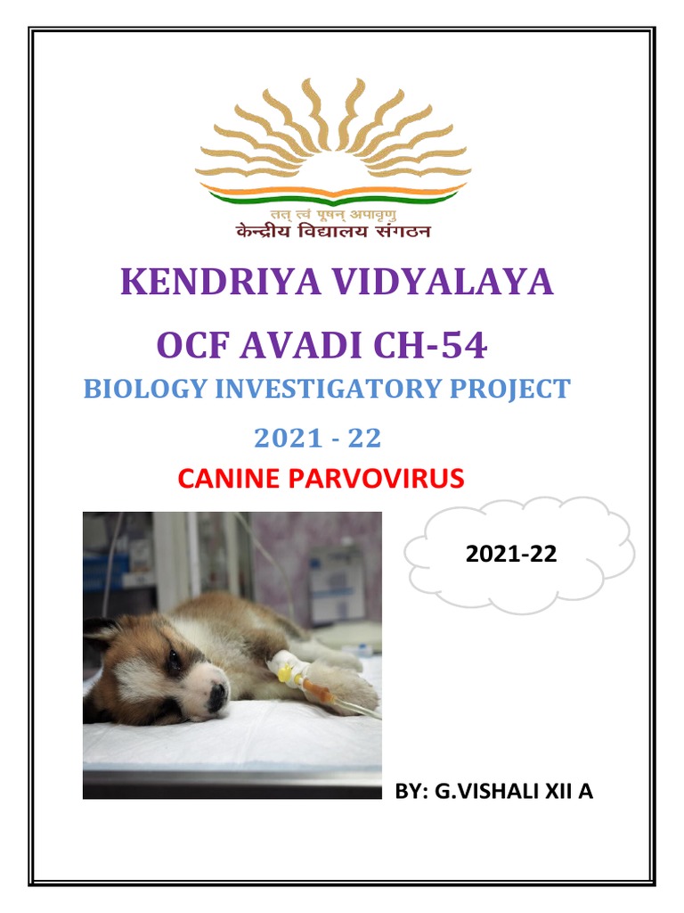 KENDRIYA VIDYALAYA Biology Investigatory Project | PDF | Clinical ...