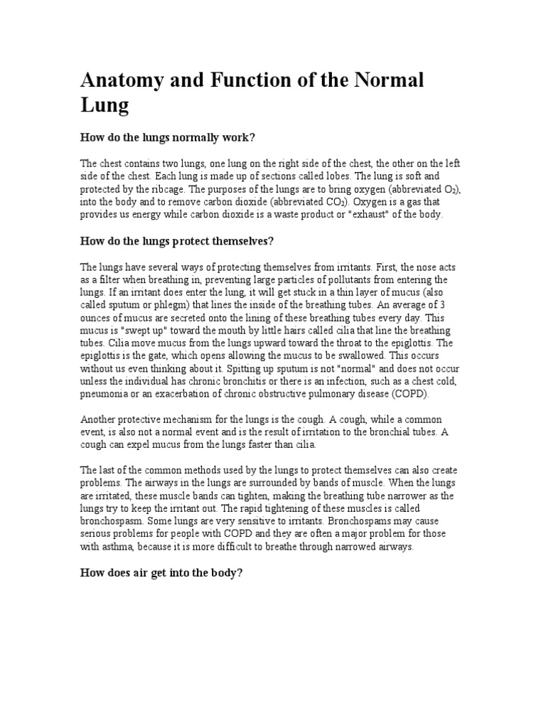 Anatomy and Function of The Normal Lung | PDF | Lung | Breathing