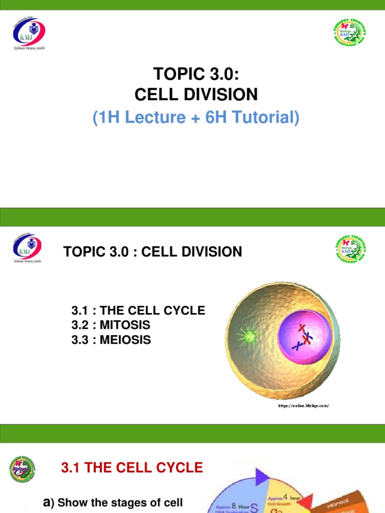 Chapter 3 Cell Division SB015 | PDF | Meiosis | Mitosis