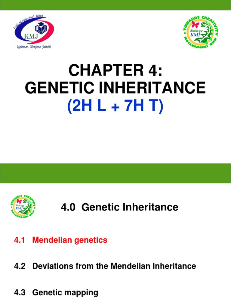 Chapter 4 Genetic Inheritance Sb015 | PDF | Dominance (Genetics) | Zygosity