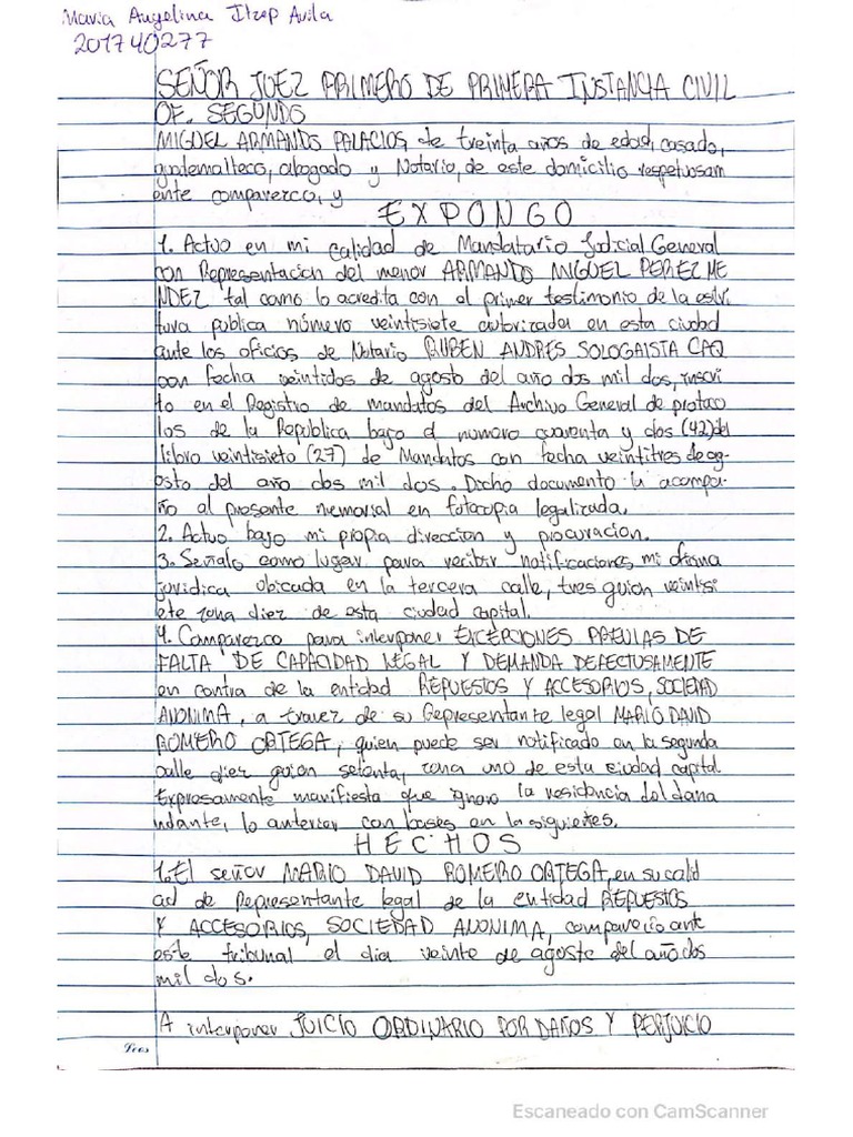 Memorial Interposición de Excepción Prev-Comprimido | PDF