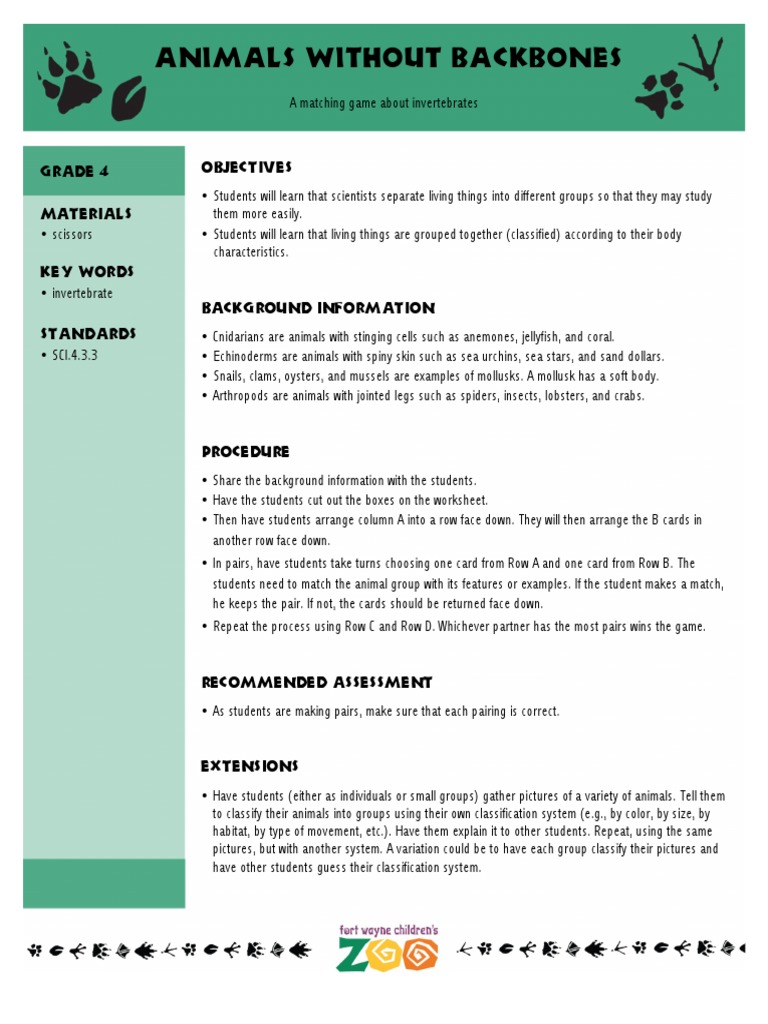 Animals Without Backbones | PDF | Invertebrate | Biology