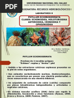 Anatomía y Fisiología de Los Peces Teleósteos | PDF | Vena | Pescado