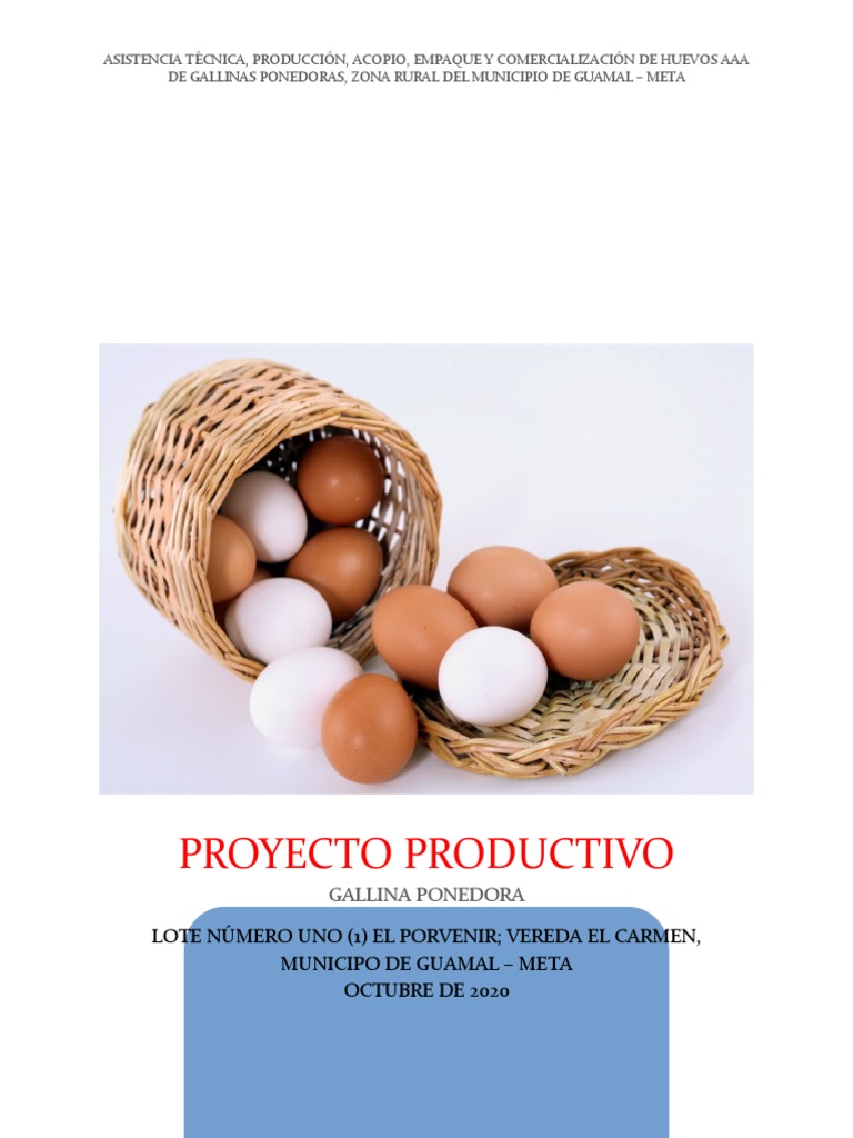 Proyecto Productivo Gallinas Ponedoras1 | PDF | Pollo | Aves