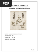 Method of Plant Collection Preparation of Herbarium and Their Storage ...