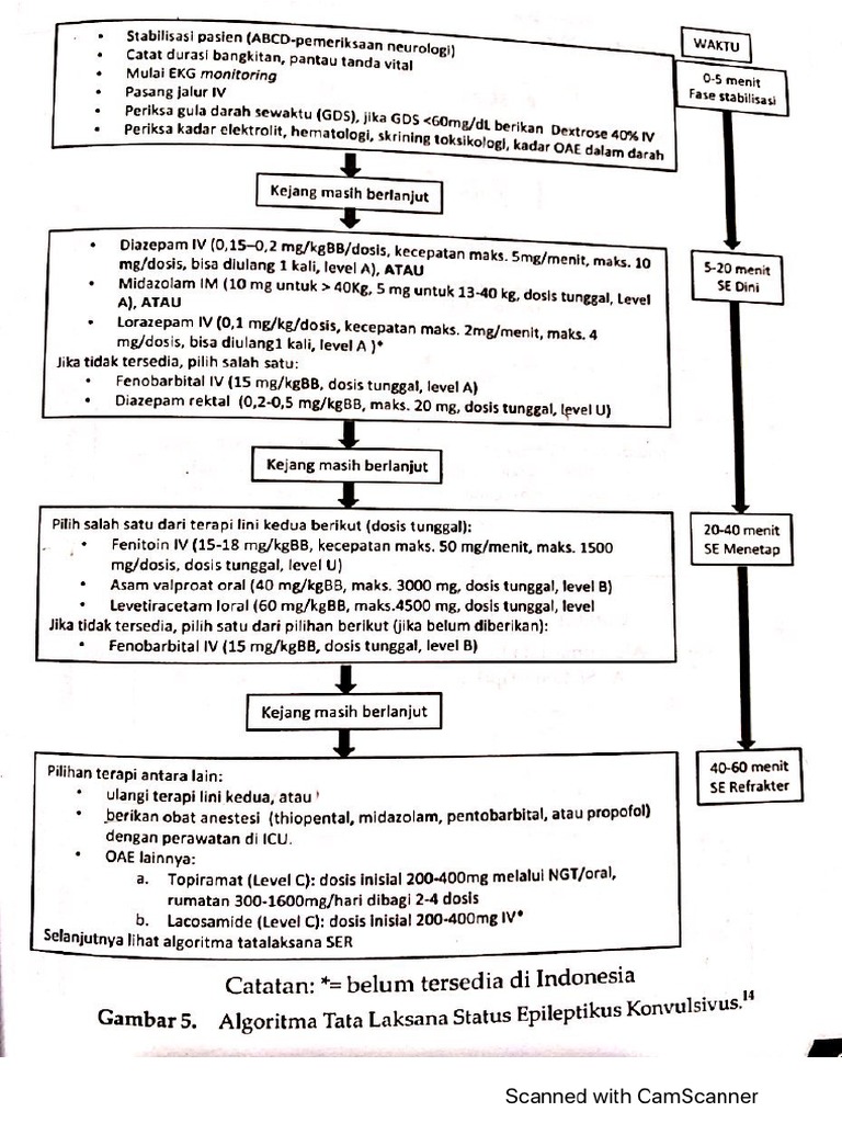 Algoritma Status Epileptikus | PDF