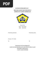 LAPORAN STASE ASUHAN KEBIDANAN KDPK - KELOMPOK Baru | PDF