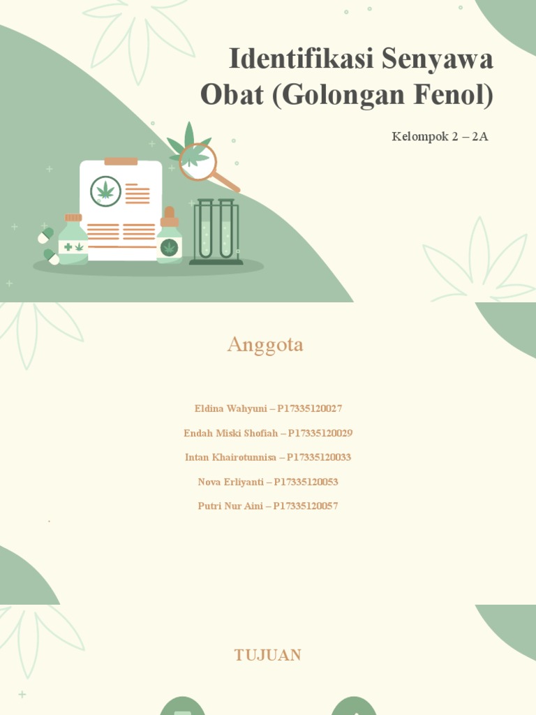 2A - 2 - Identifikasi Obat Golongan Fenol | PDF