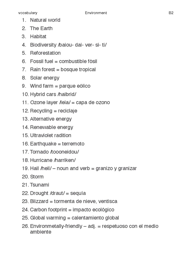 Vocabulary Environment | PDF