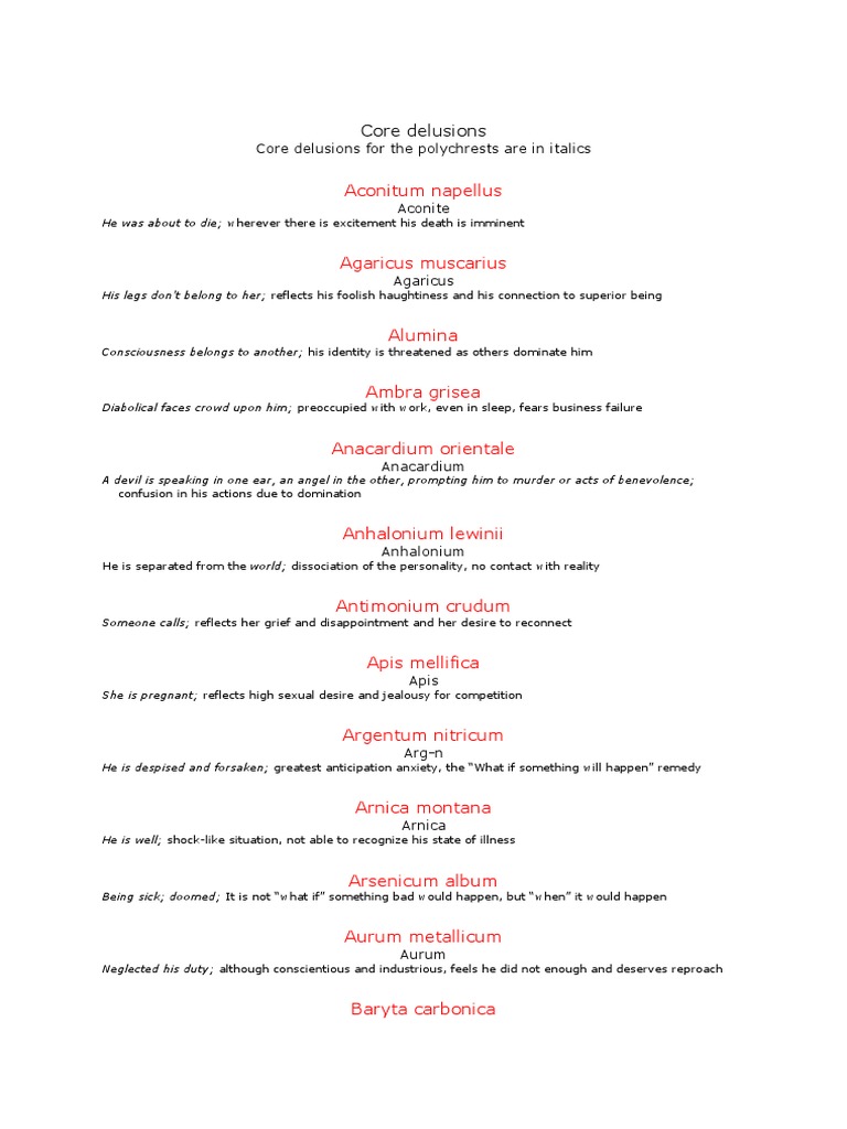 Core Delusions-Luc de Schepper | PDF | Psychological Concepts