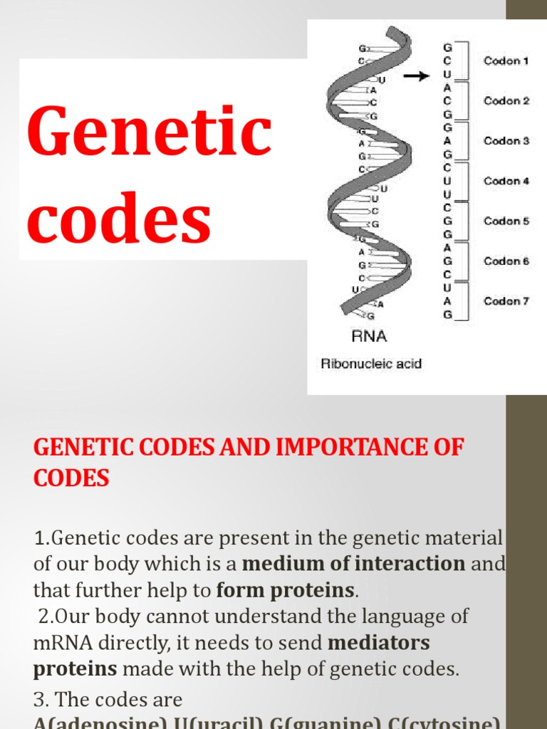 Genetic Codes | PDF | Genetic Code | Translation (Biology)