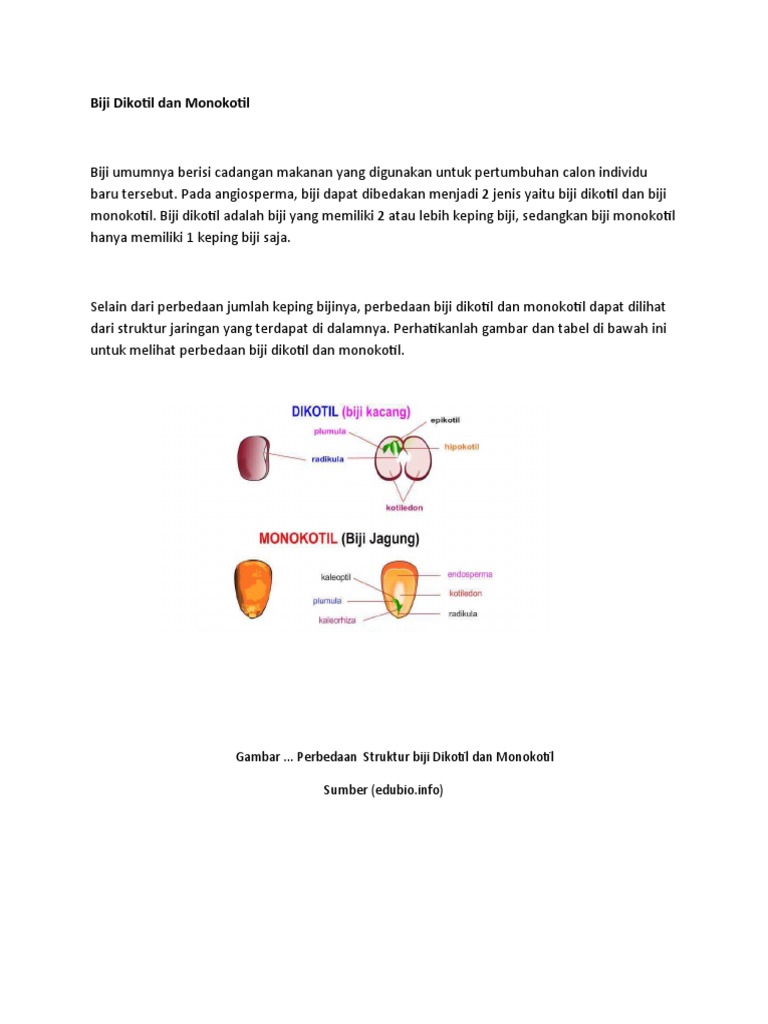 Biji Dikotil Monokotil | PDF | Griya & Taman | Sains & Matematika