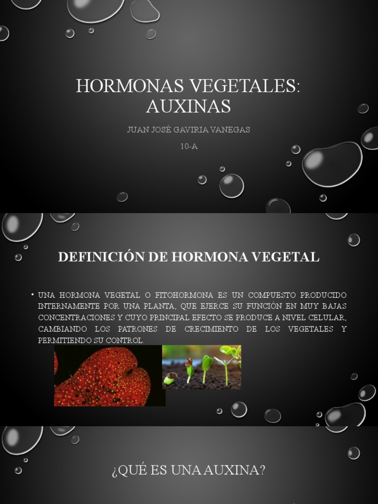 Hormonas Vegetales, Auxinas | PDF