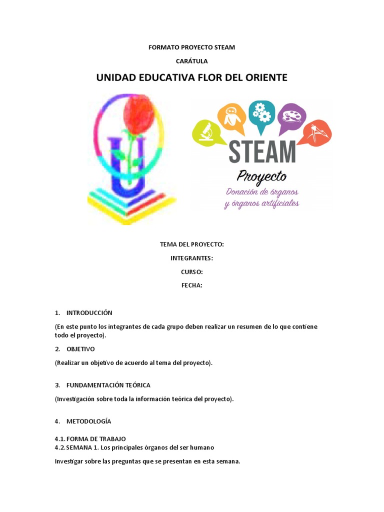 Formato Proyecto Steam | PDF