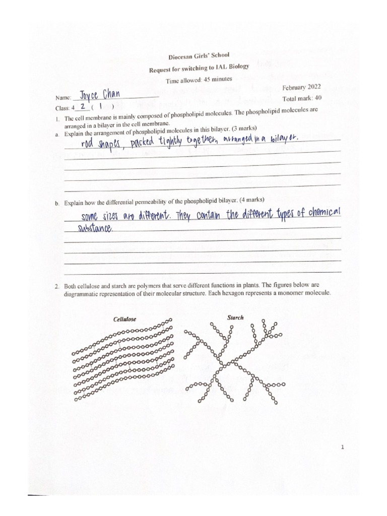 Bio - Chan Joyce Lian | PDF