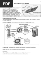 Expt.1.Study of Compound Microscope | PDF | Scientific Techniques | Lenses