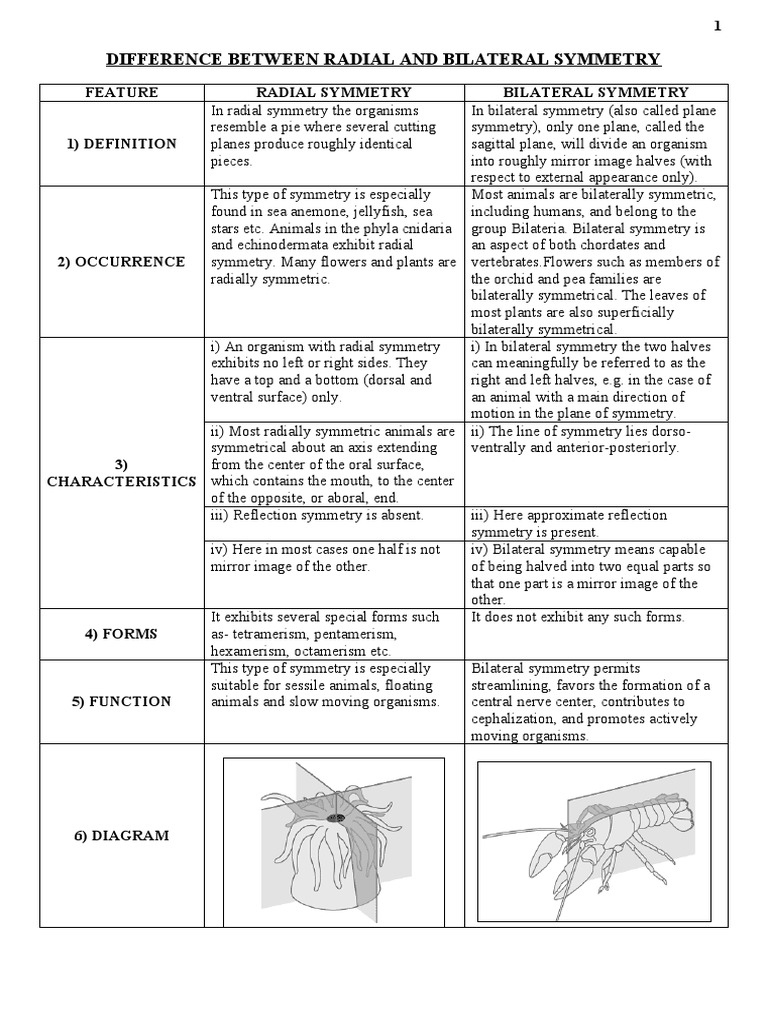 Bilateral Symmetry In Nature