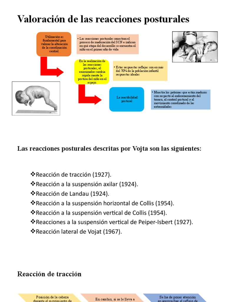 Reacciones Posturales según Vojta | PDF | Sistema musculoesquelético ...