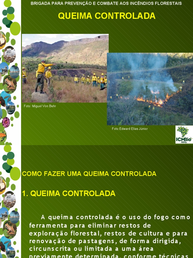 9 - Queima Controlada - ModeloS | PDF